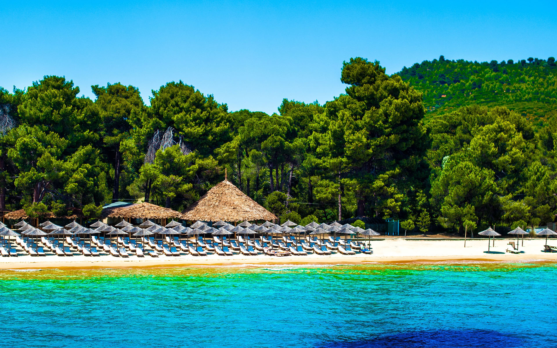 Travel Plus | TravelPlus.gr Το ταξίδι αρχίζει εδω.